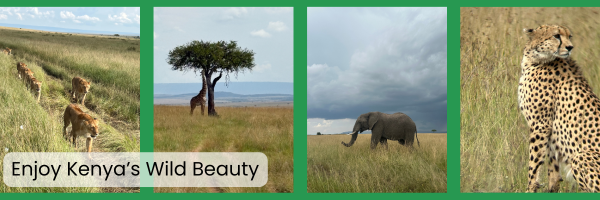 Maasai Service Trip - Wings of Hope